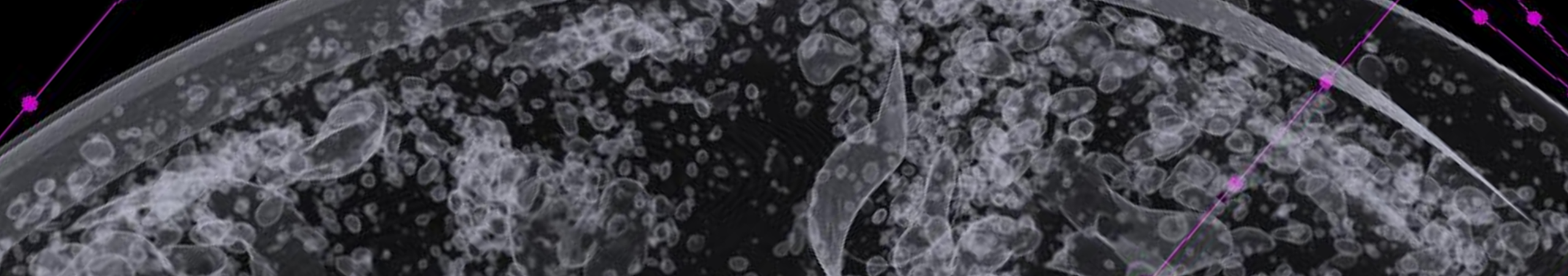 Innovatives 3D-Röntgenmikroskop SkyScan 2214 im Video | RJL Micro & Analytic