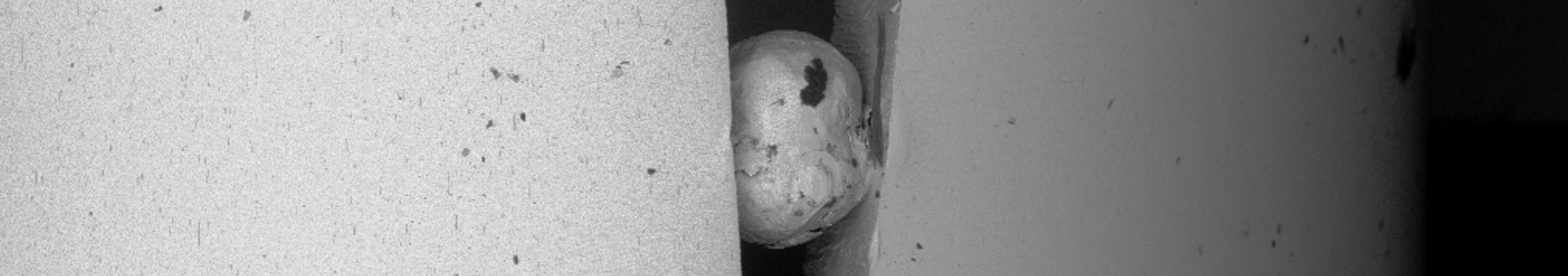 Innovatives 3D-Röntgenmikroskop SkyScan 2214 im Video | RJL Micro & Analytic