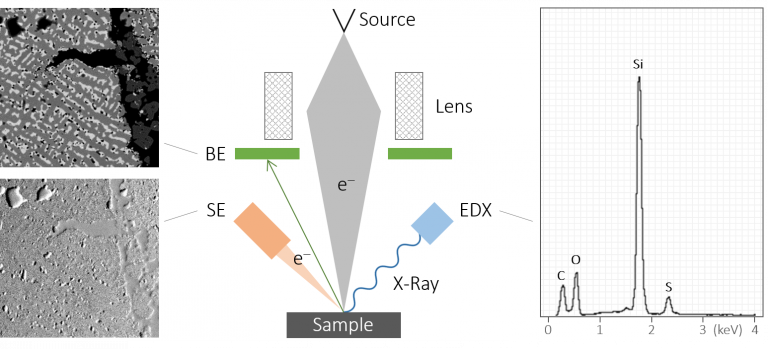 SEM-EDX | Detektoren SE BE EDX | RJL Micro & Analytic