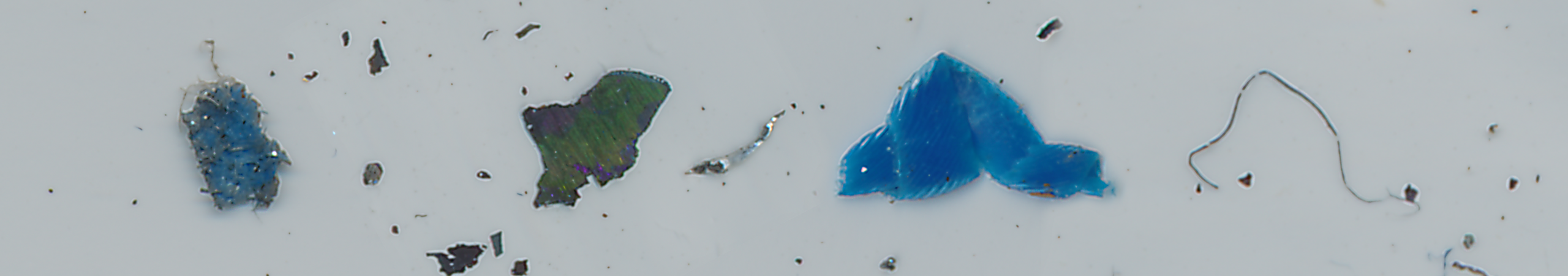 MicroQuick-Partikelscanner Sauberkeit | RJL Micro & Analytic