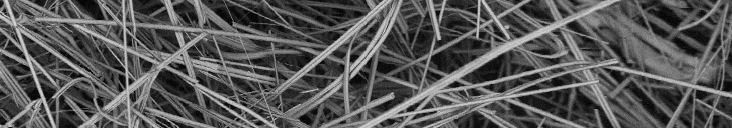 SEM-EDX | Preise Tabletop Compact SEM | RJL Micro & Analytic