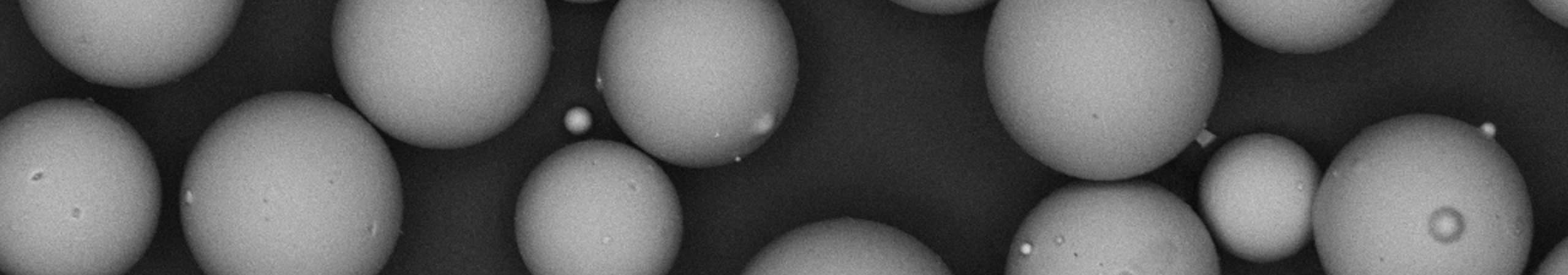 SEM-EDX | Preise Tabletop Compact SEM | RJL Micro & Analytic